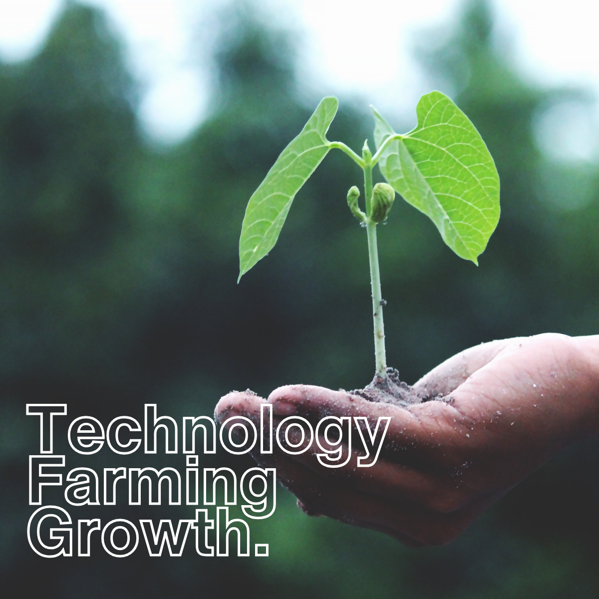 The importance of Agri-Tech for both Farming and Technology. - Purple Crane