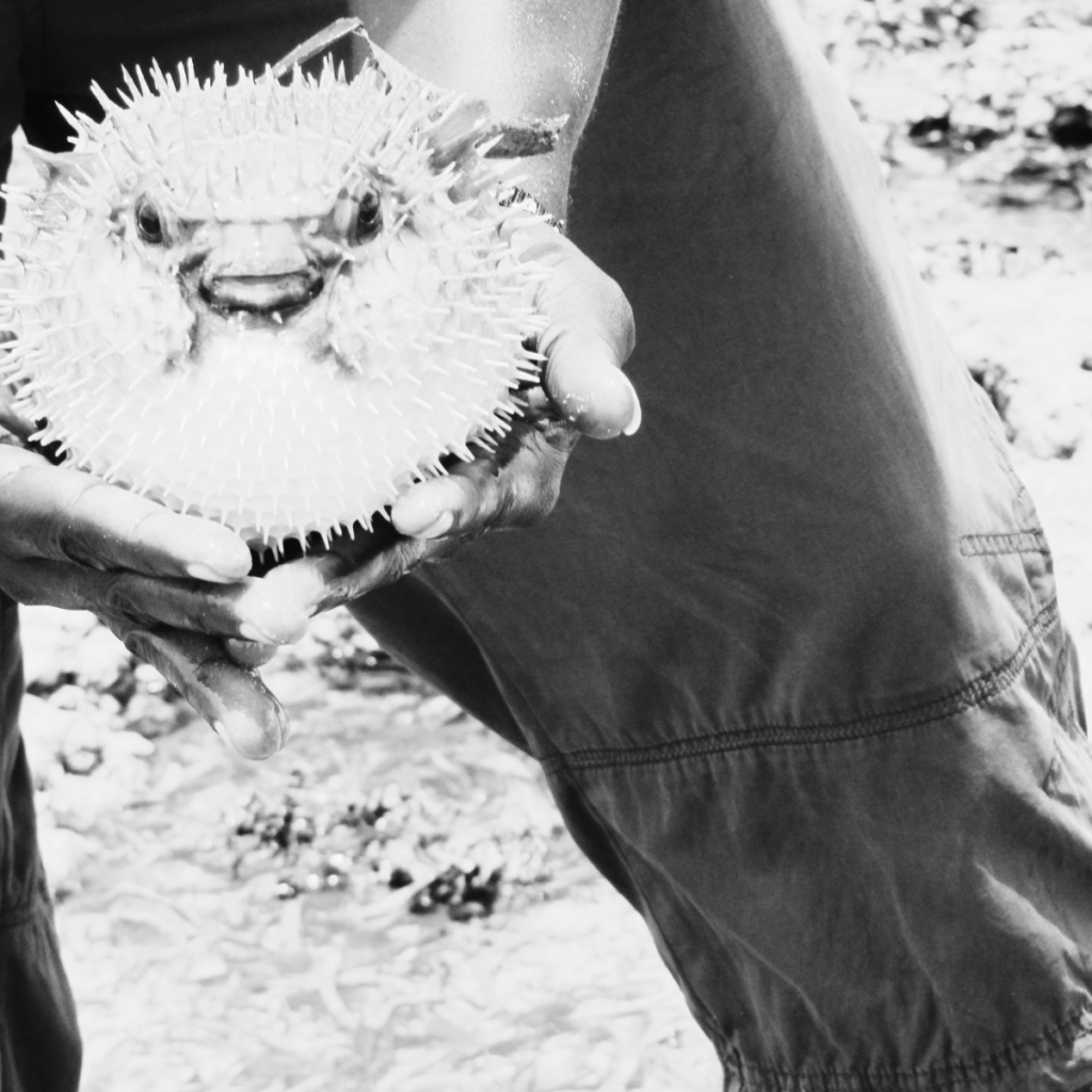 Software Development and the Dreaded Code Bloat - Purple Crane